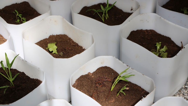 TPE Offers Earthworm Farming Set Made from Circular Plastic from Plant ...