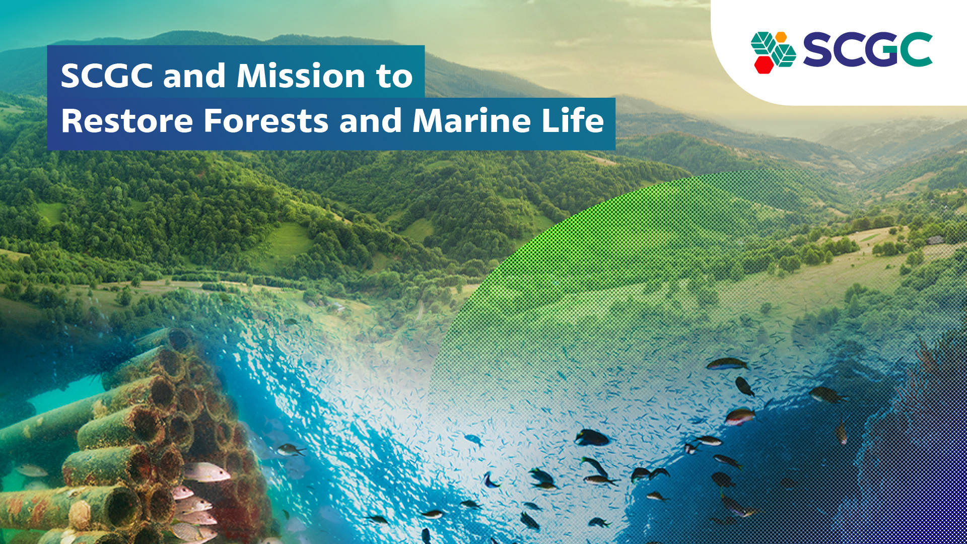 SCGC and Mission to Restore Forests and Marine Life