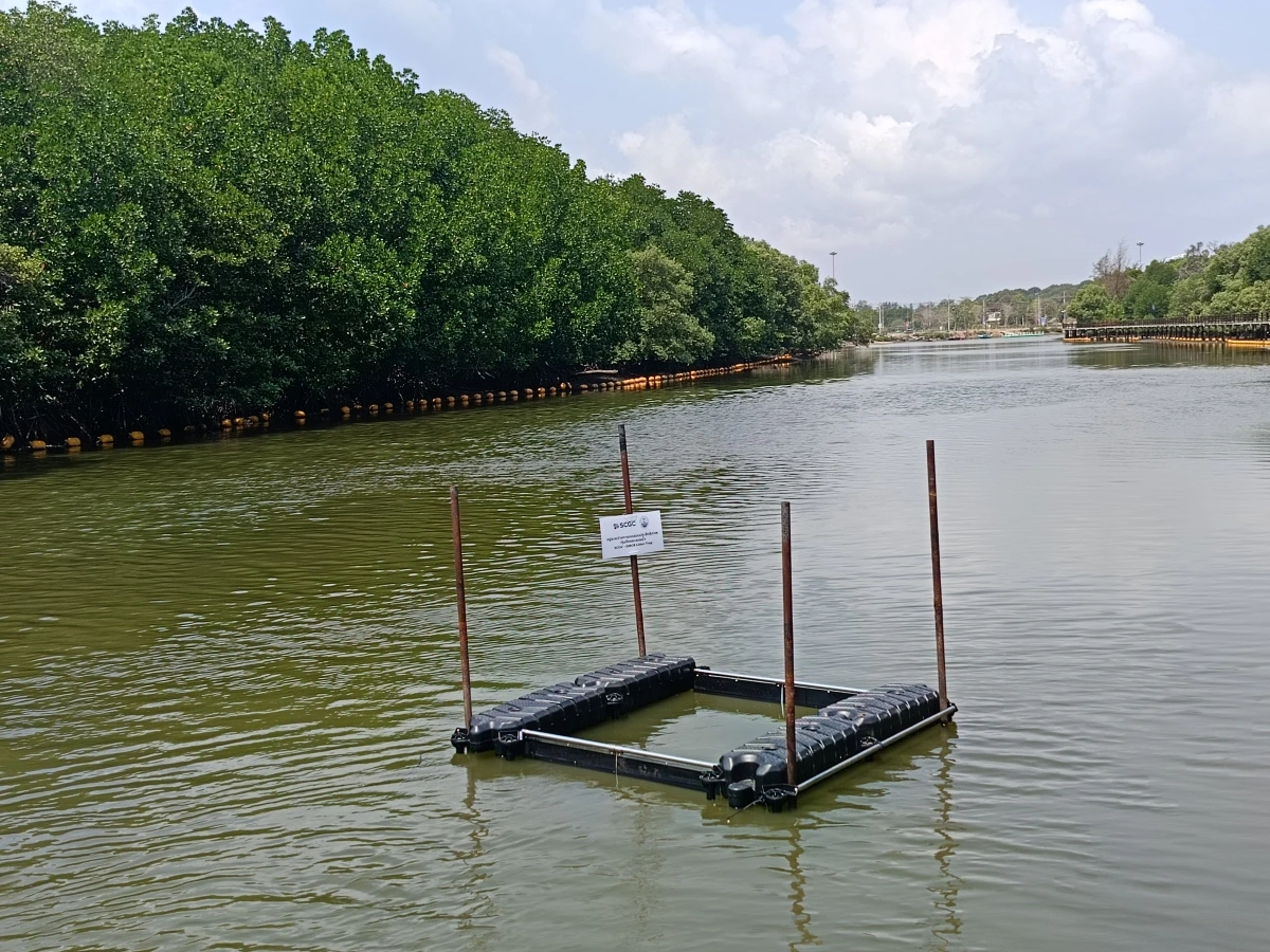 SCGC Partners with DMCR to Tackle Marine Waste with Up-Scale and Up ...